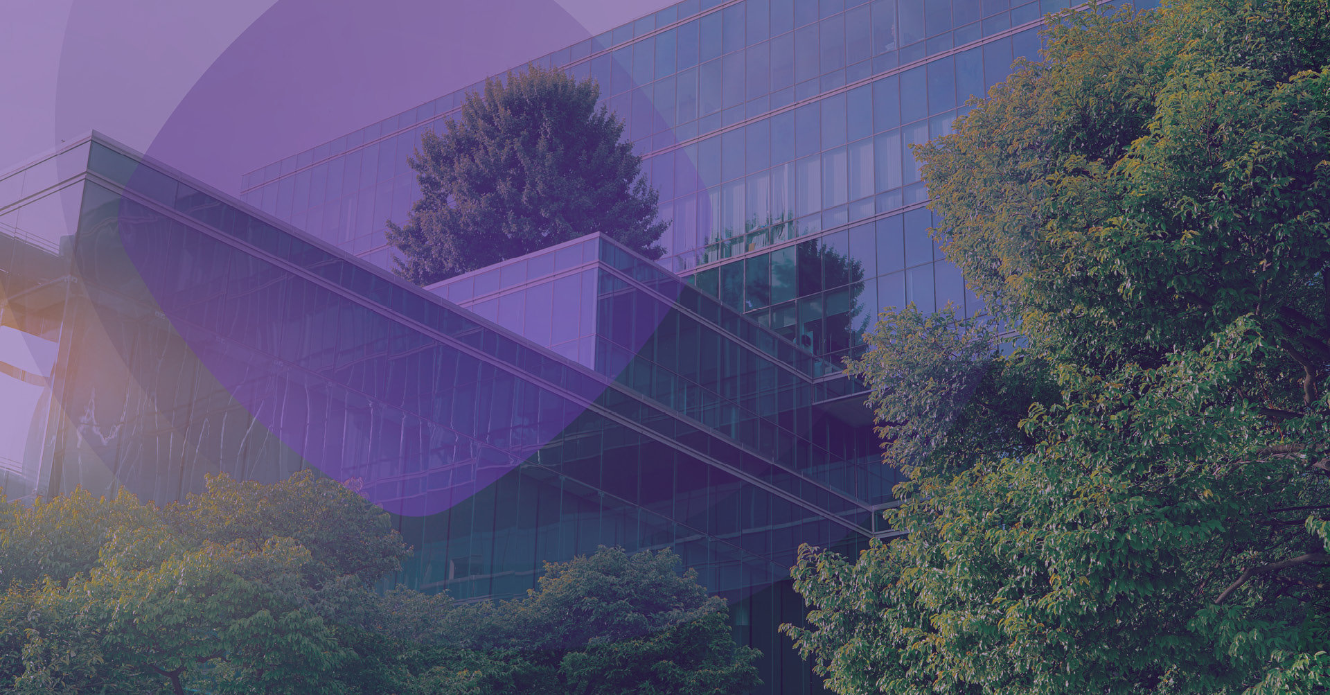 Practical steps for CSRD implementation | Grant Thornton